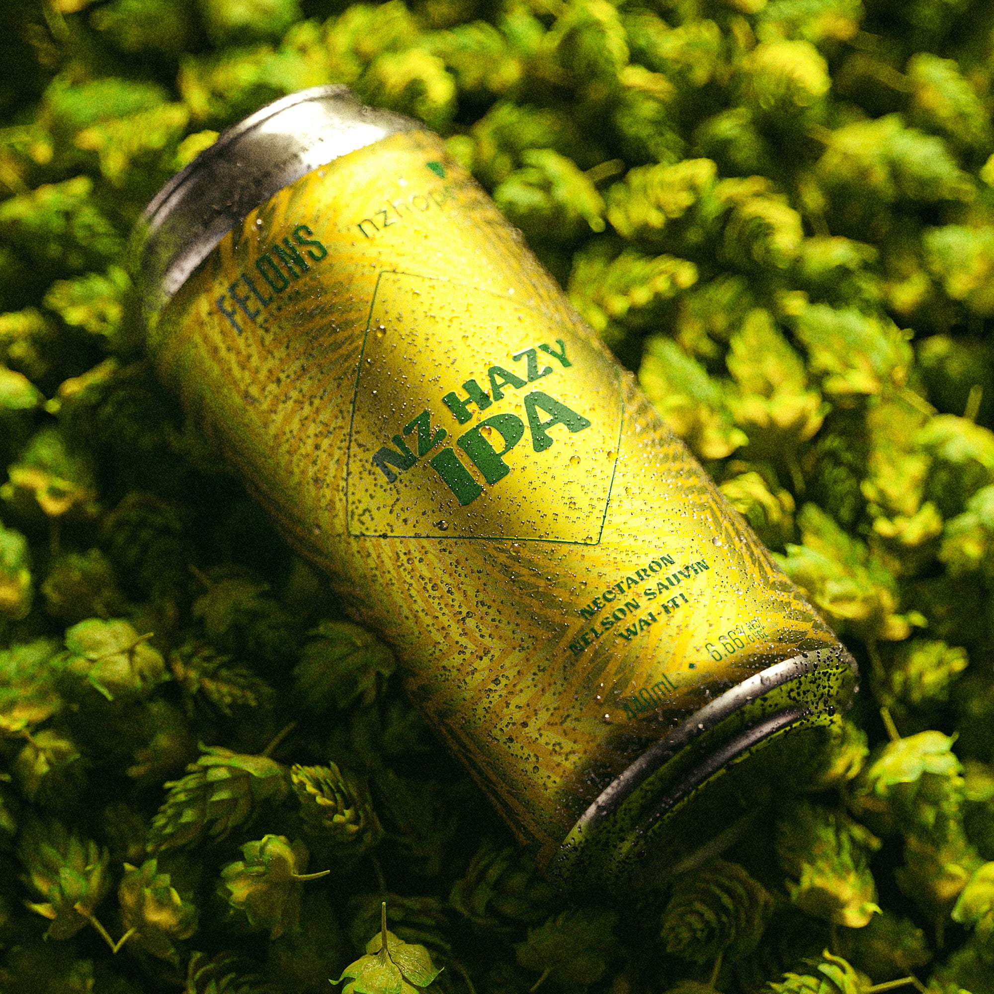 NZ Hazy IPA – Felons Brewing Co.