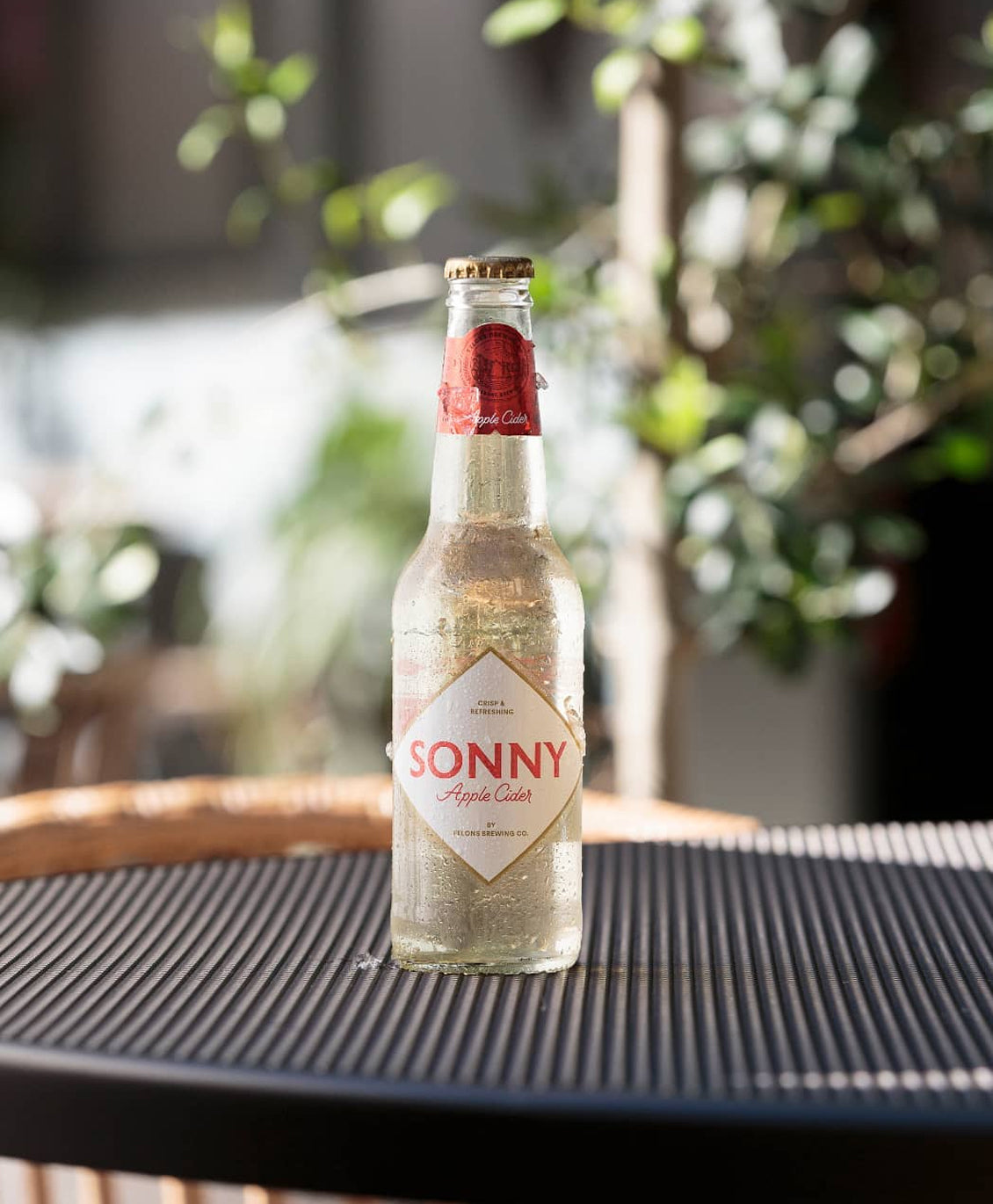 Sonny Sparkling Cider – Felons Brewing Co.